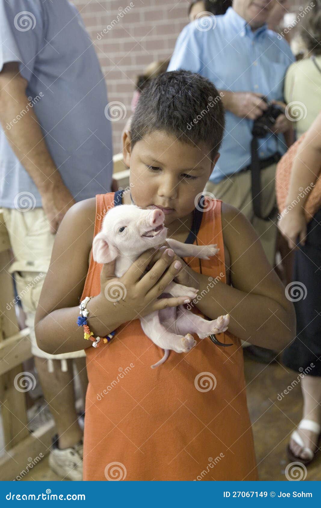 Latino Boy Holding Baby Pig Editorial Stock Image - Image of child ...