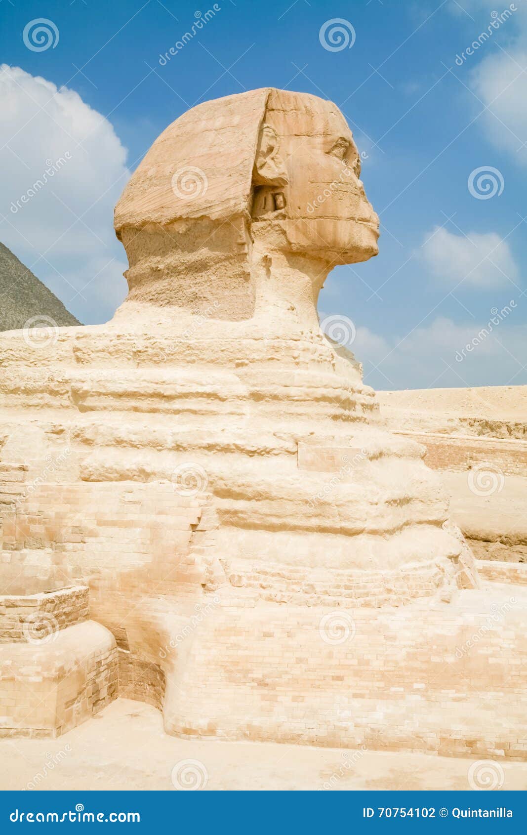 Lato Della Sfinge Nell'Egitto Fotografia Stock - Immagine di egitto ...