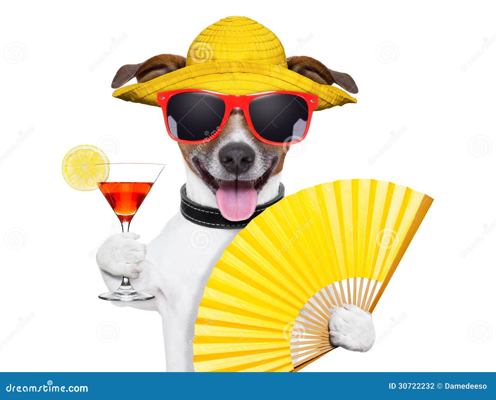 Lato koktajlu pies zdjęcie stock. Obraz złożonej z zabawa - 30722232
