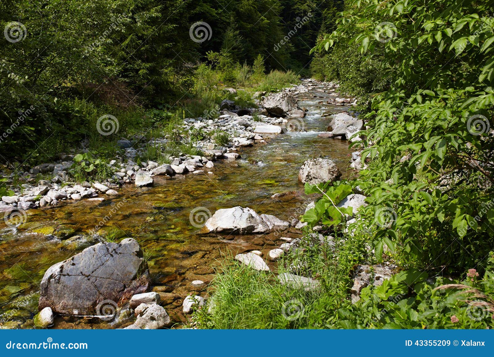 Latoritei river stock image. Image of lush, river, rock - 43355209
