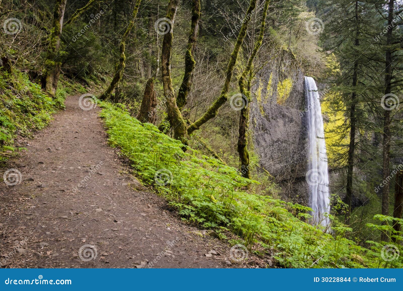 Spring waterfall stock photo. Image of water, waterfalls - 30228844