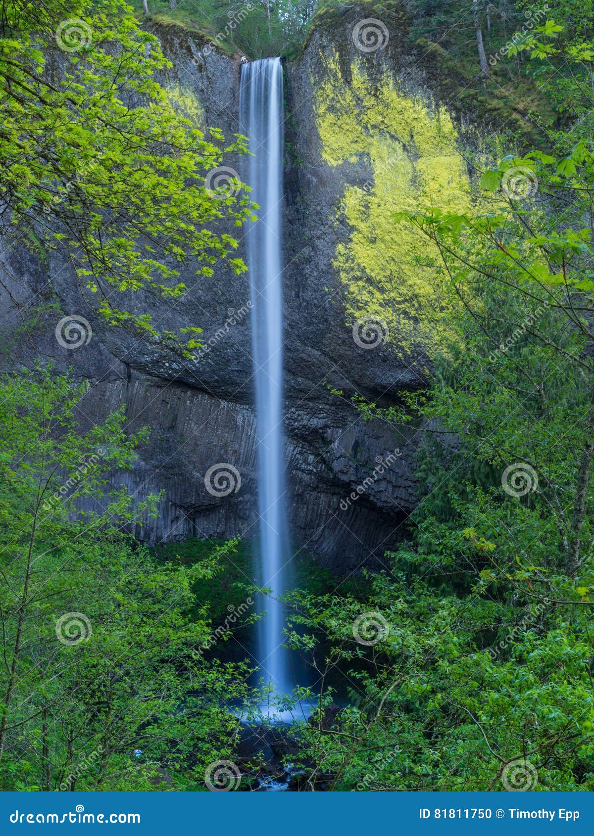 Latourell Falls stock photo. Image of lichen, pure, tourist - 81811750