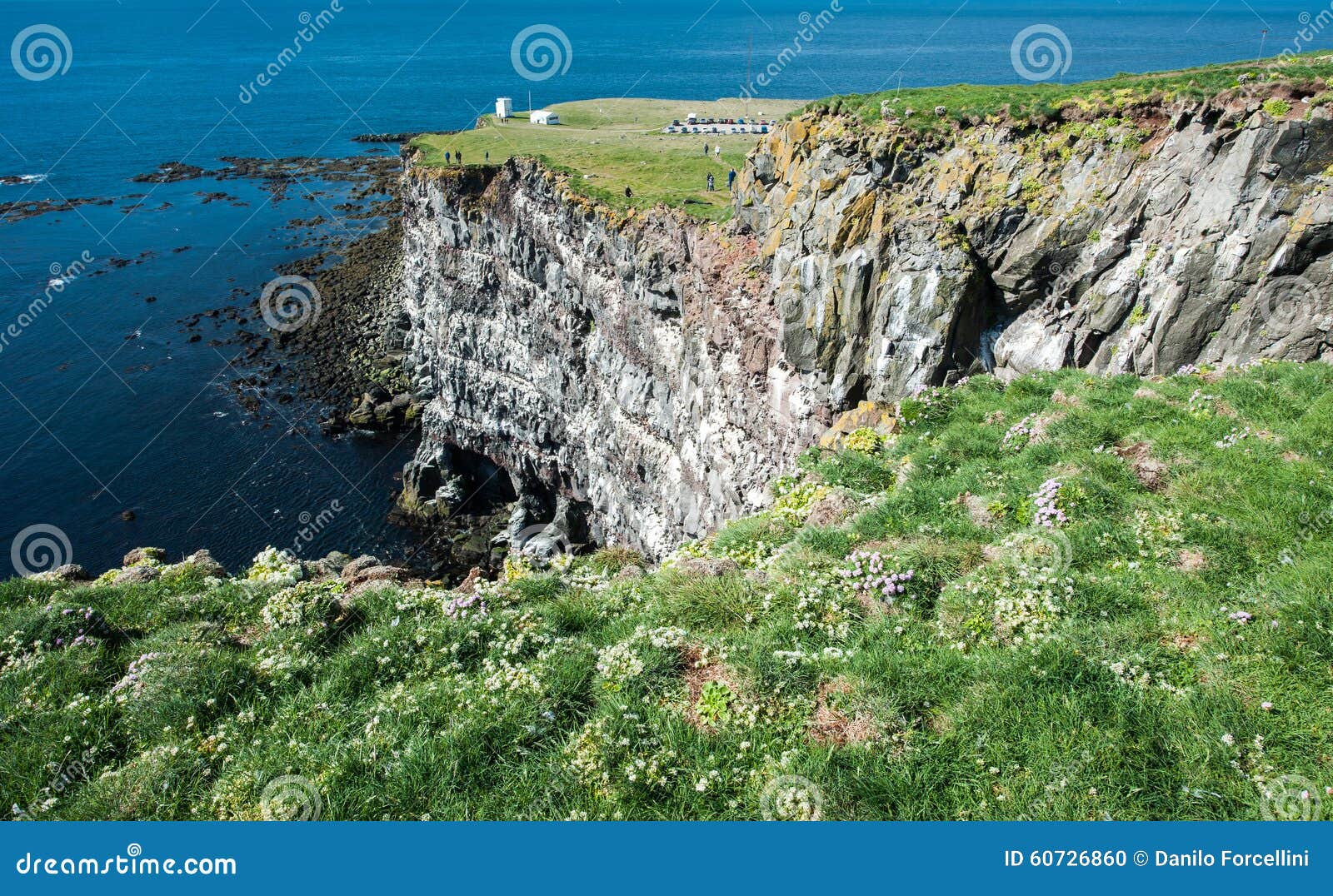 Latrabjarg Cliffs, Westfjords, Iceland Stock Photo - Image of ocean ...