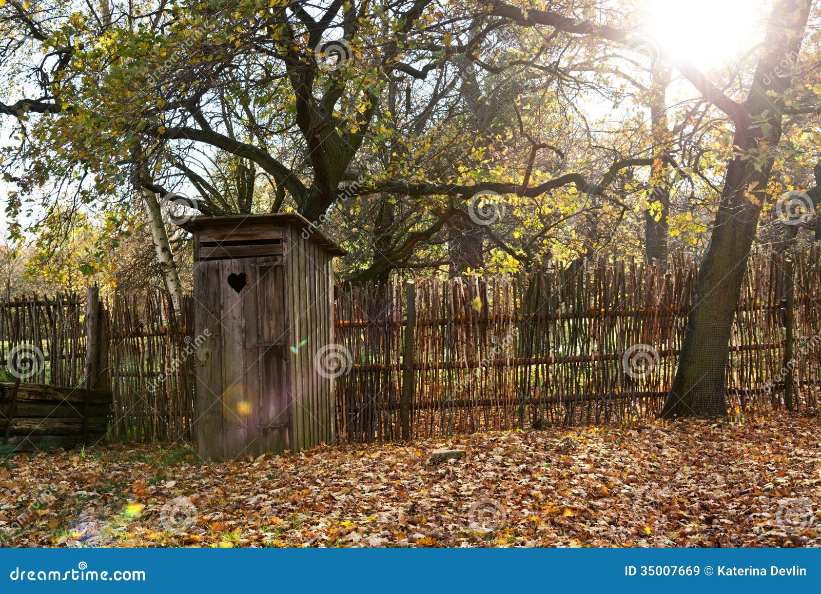 Latrina immagine stock. Immagine di piccolo, albero, rurale - 35007669