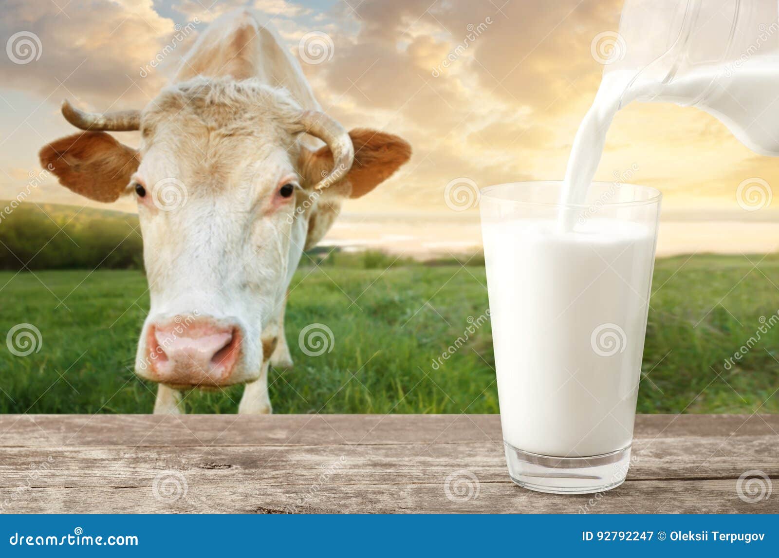 Latte Di Versamento Con La Mucca Immagine Stock - Immagine di flusso ...