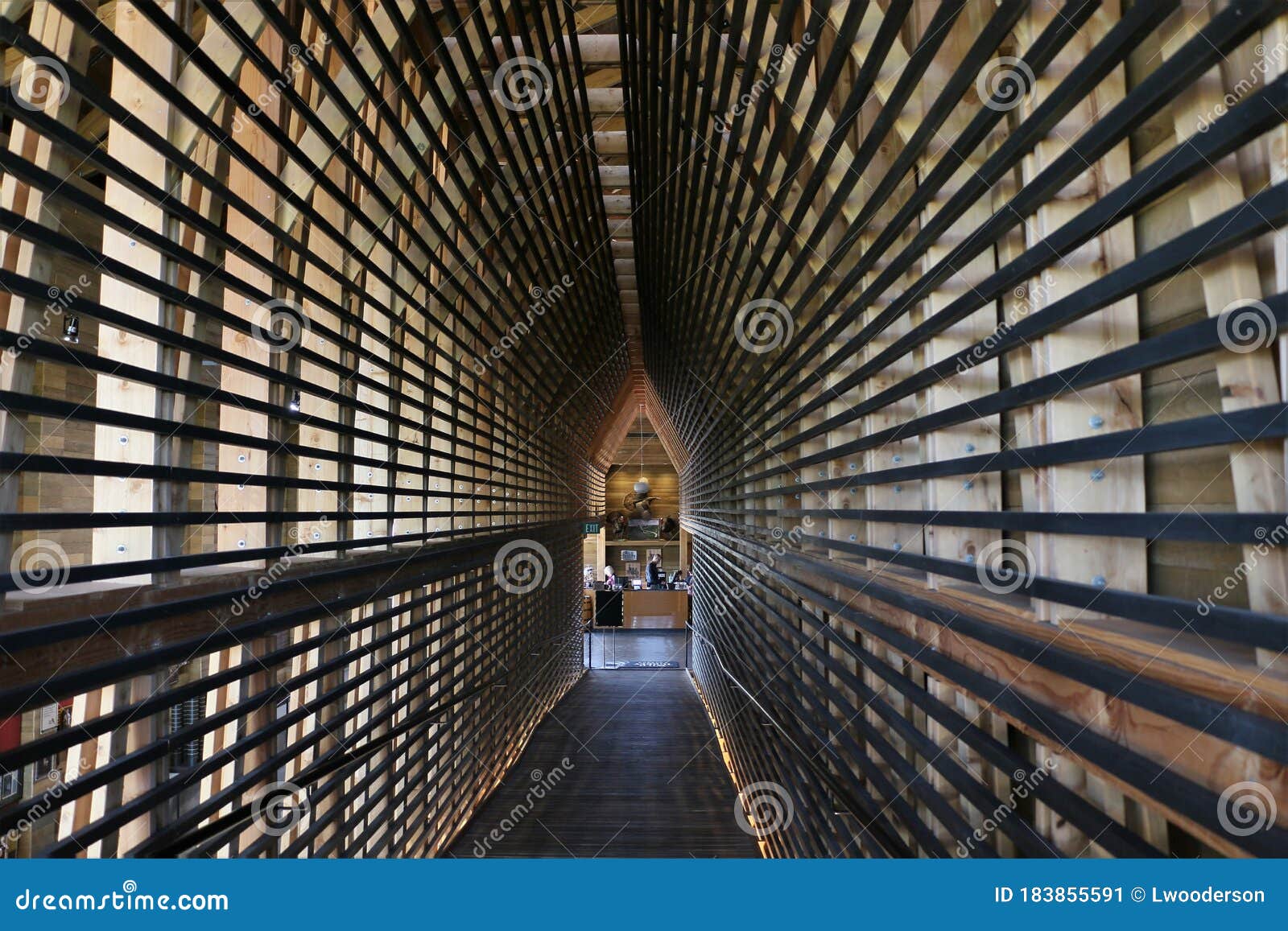 Lattice arch walkway stock image. Image of walkway, arch - 183855591
