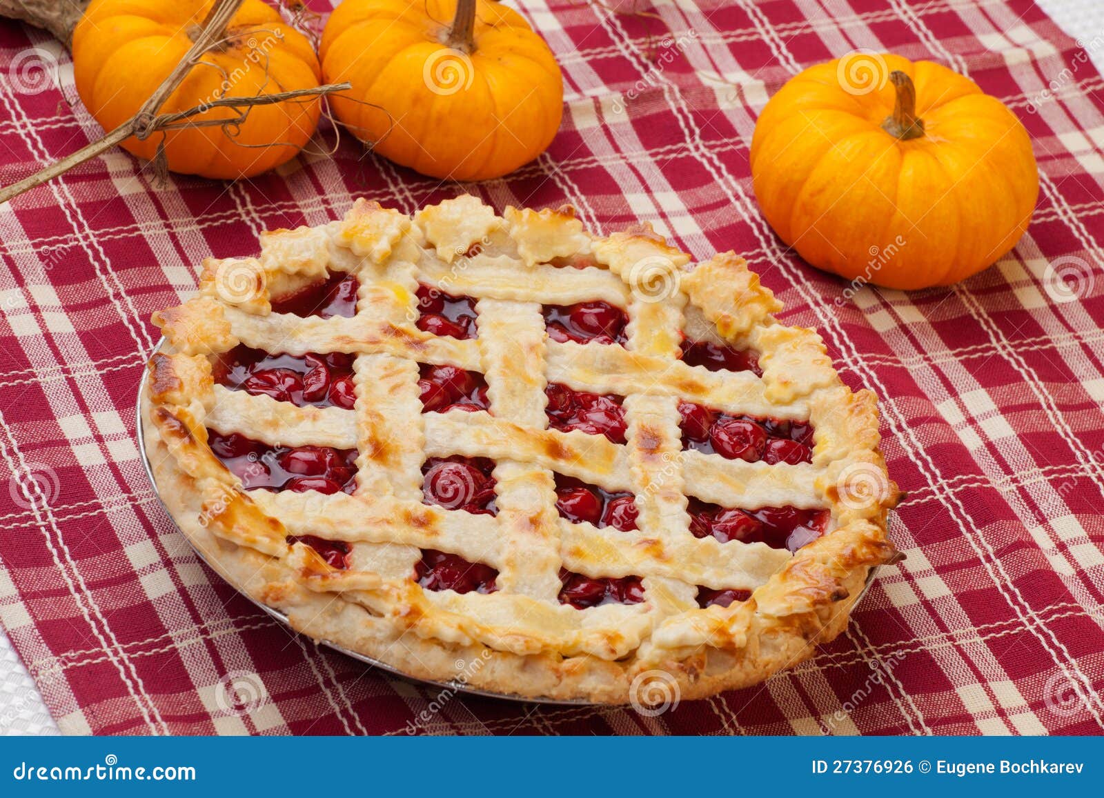 Lattice Cherry Pie stock photo. Image of sweet, season - 27376926