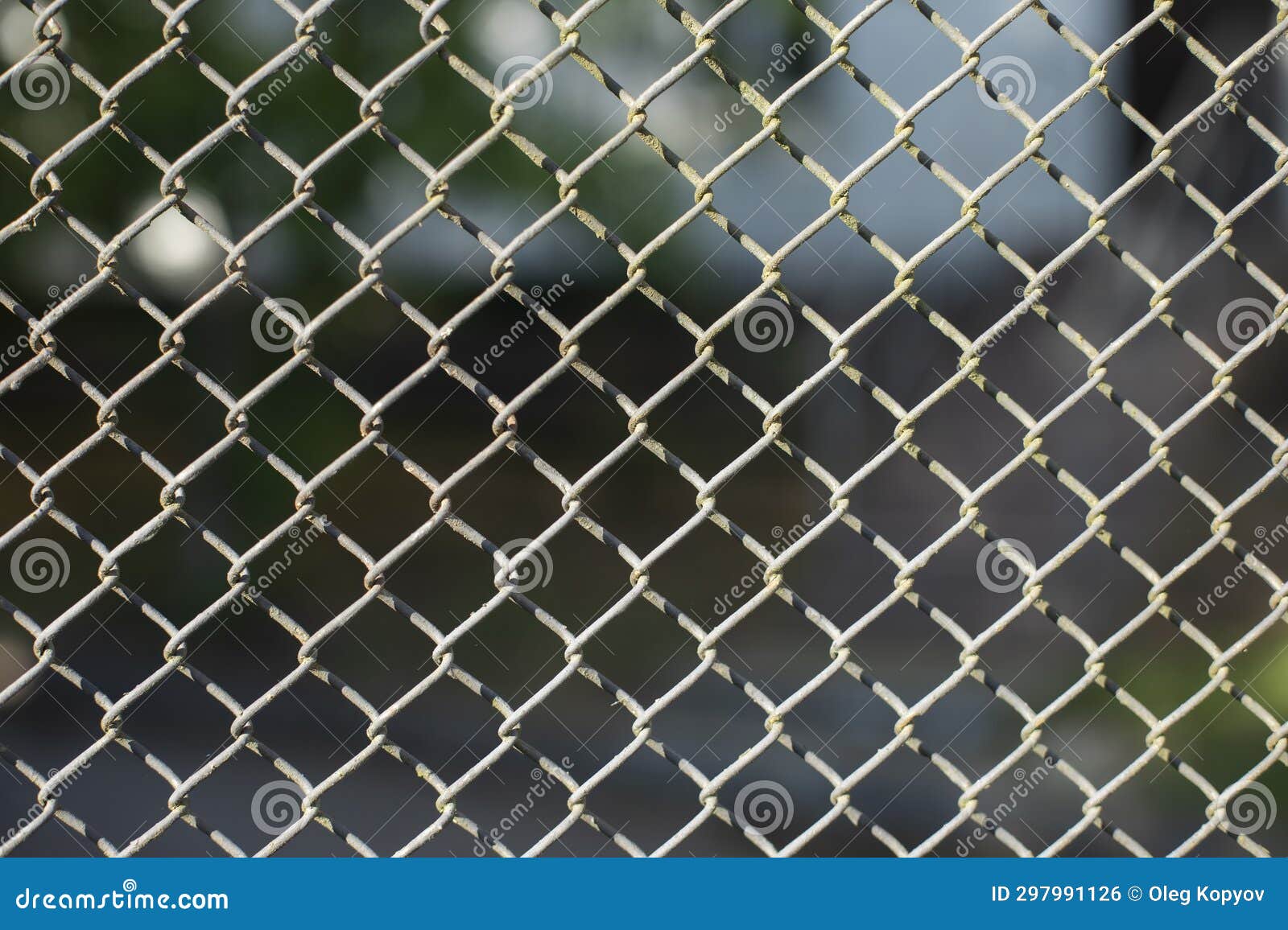 Lattice Fence. Steel Grating. Steel Mesh Stock Photo - Image of frame ...