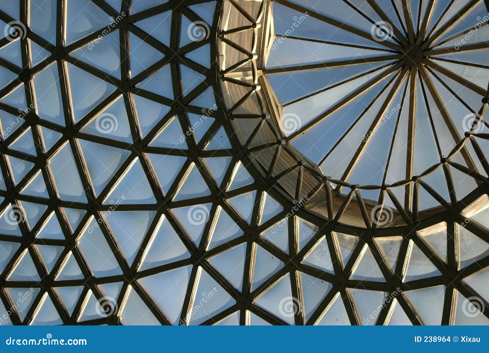 Latticework stock photo. Image of latticework, biodome - 238964