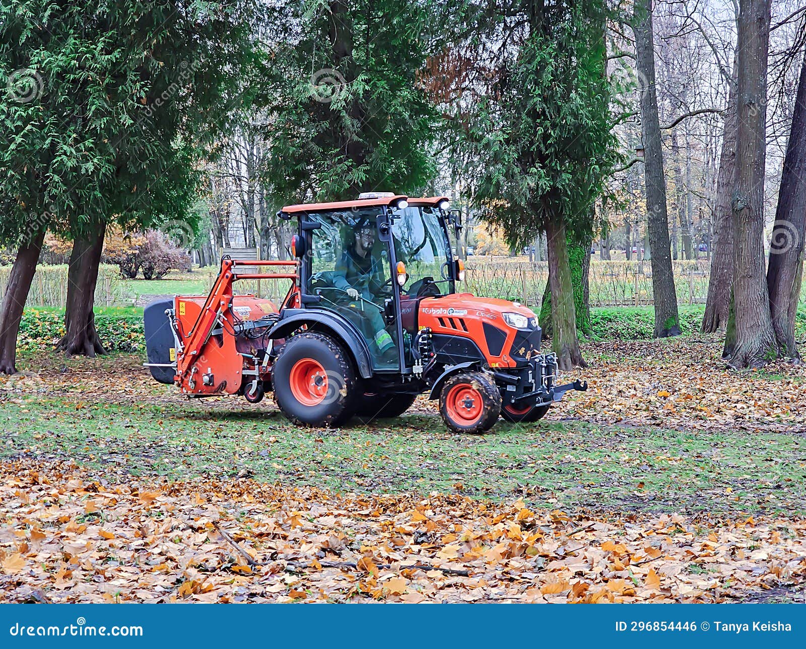 Electric Leaf Cleaning Machine in a Large Park with Bodyshell for Leaf ...