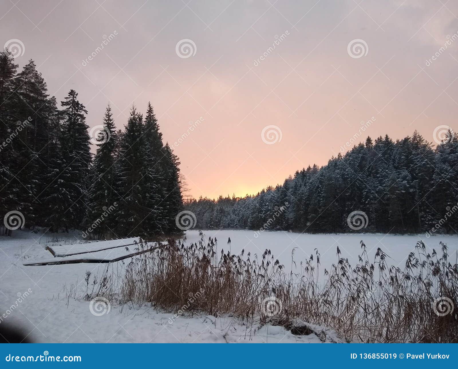 Latvian nature stock image. Image of latvian, tukums - 136855019