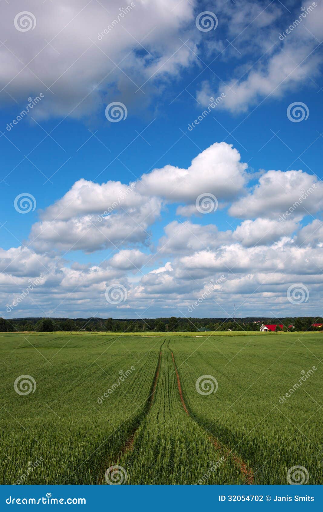 Latvian summer landscape. stock photo. Image of field - 32054702