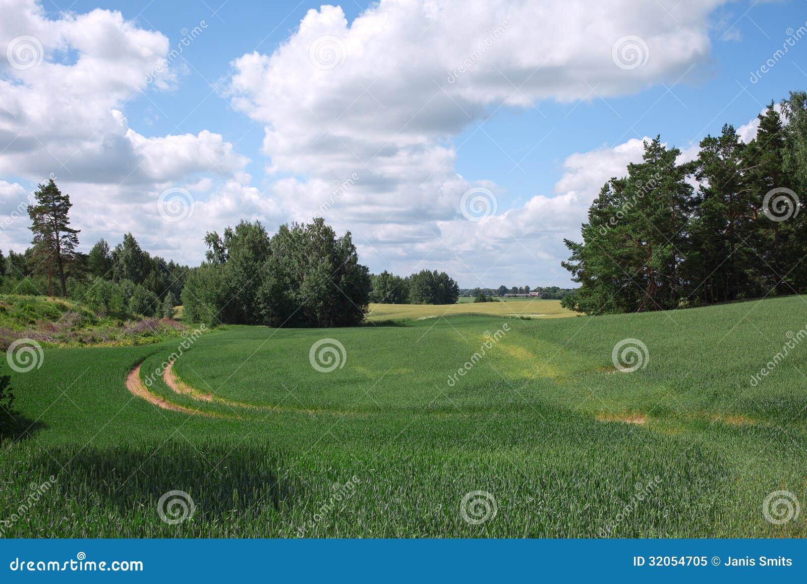 Latvian summer landscape. stock image. Image of land - 32054705