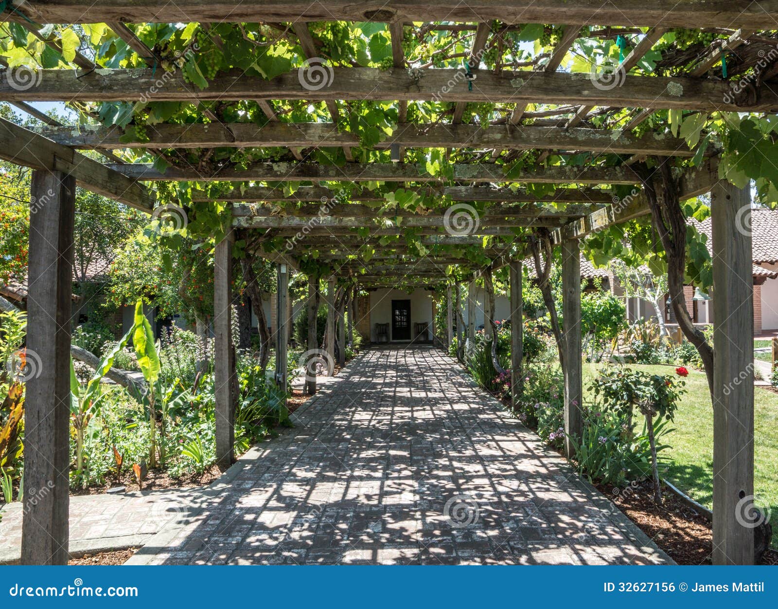 Laube von Weinreben stockfoto. Bild von katholisch, religion - 32627156