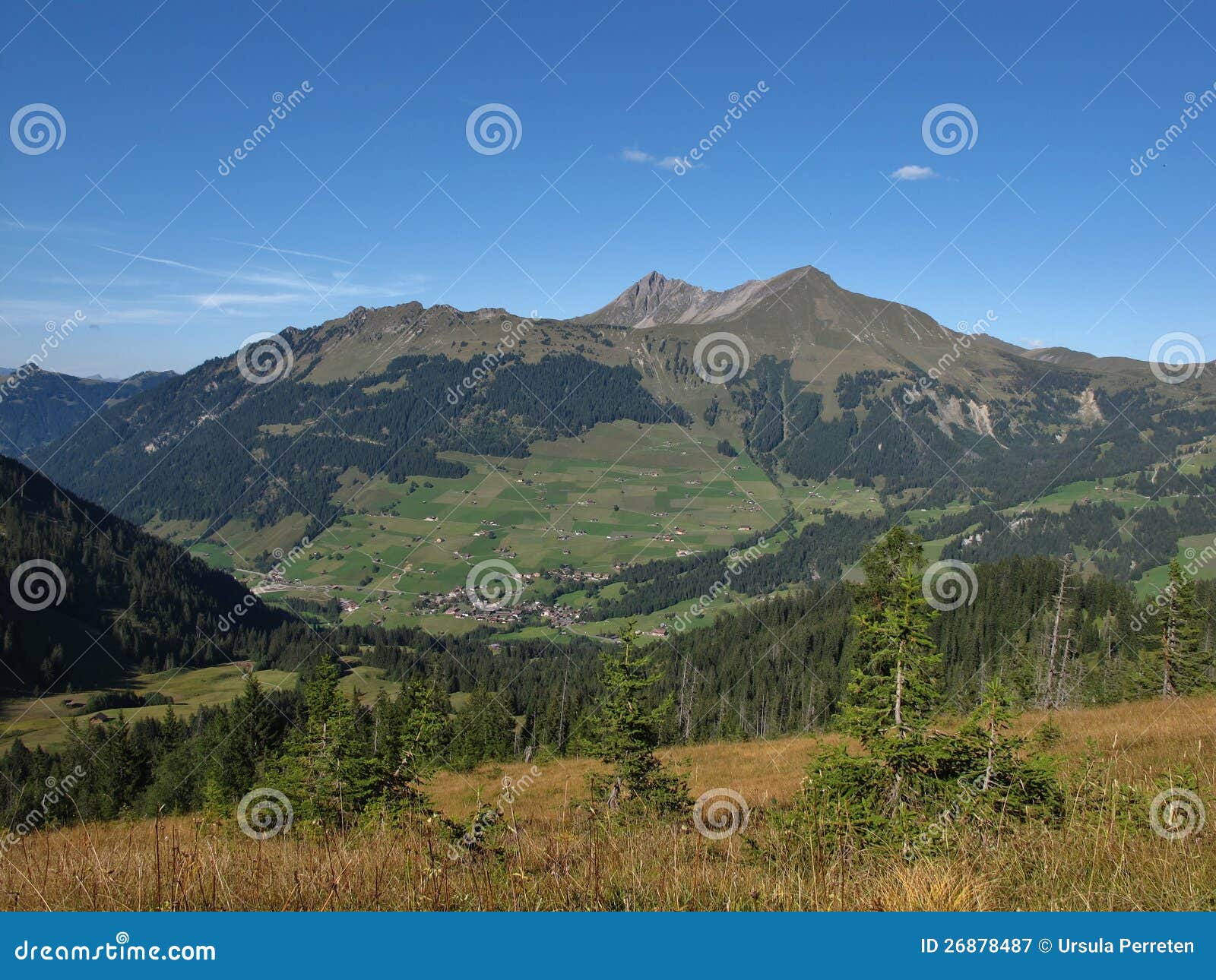 Lauenen stock image. Image of switzerland, side, settlement - 26878487