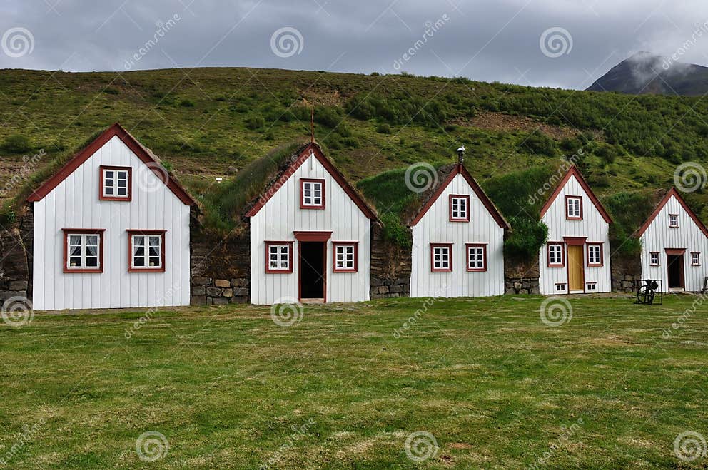 Laufas foto de archivo. Imagen de turba, plantas, prado - 21998448
