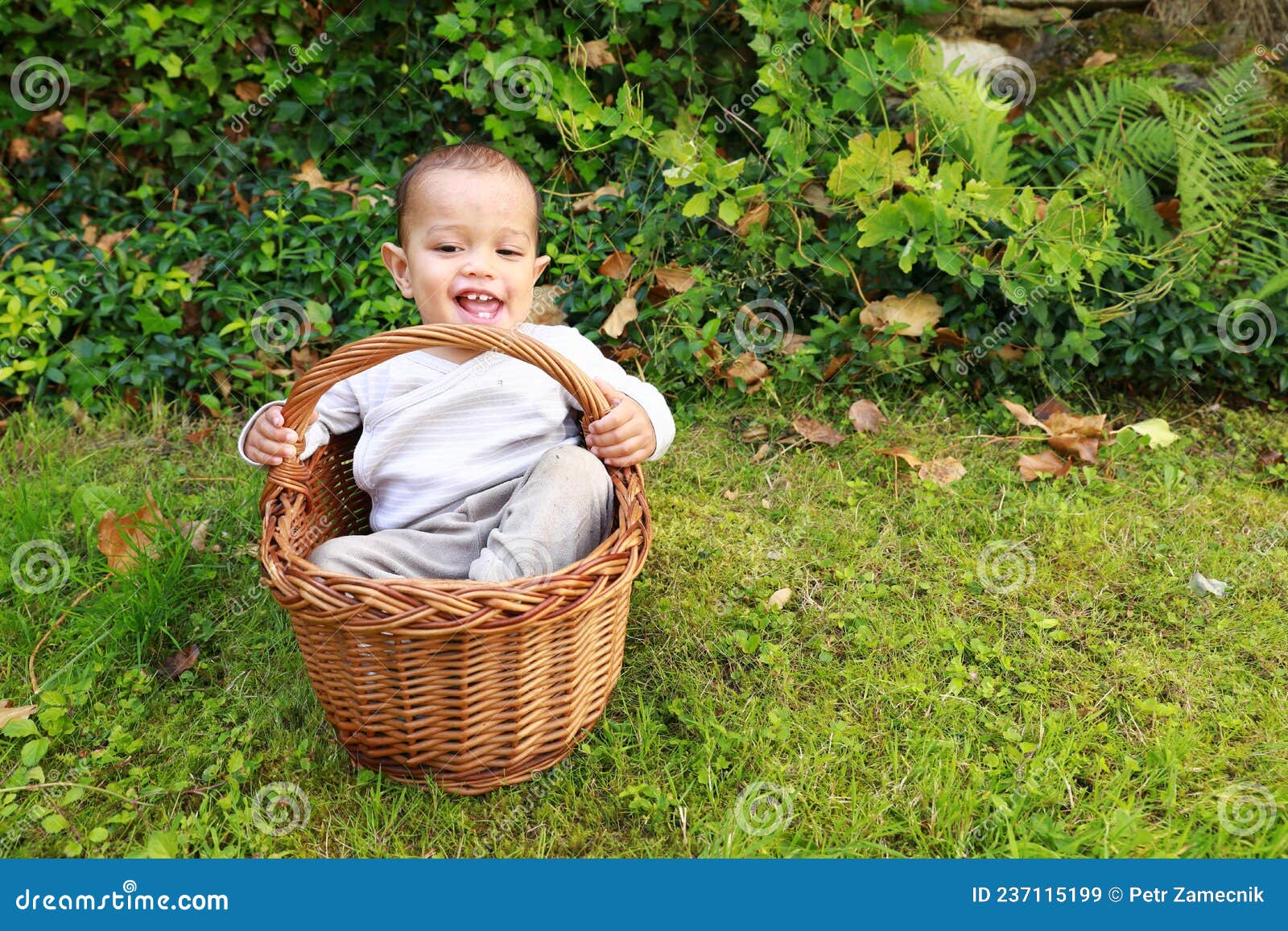 Laughing Baby Boy in Wicked Basket Stock Image - Image of green ...
