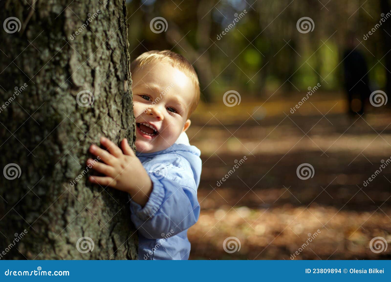 Laughing Boy Peeking from Behind a Tree Stock Photo - Image of looking ...