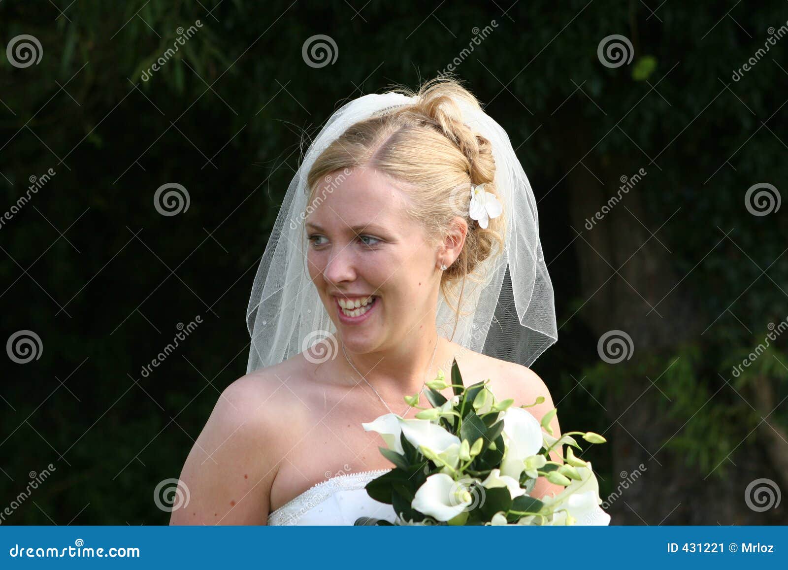The Laughing Bride stock image. Image of laugh, laughing - 431221