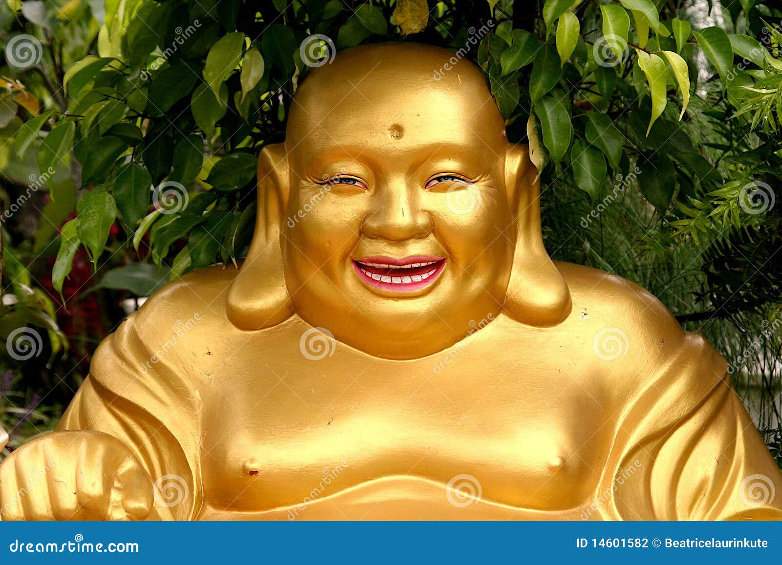 Laughing buddha stock photo. Image of laugh, head, icon - 14601582