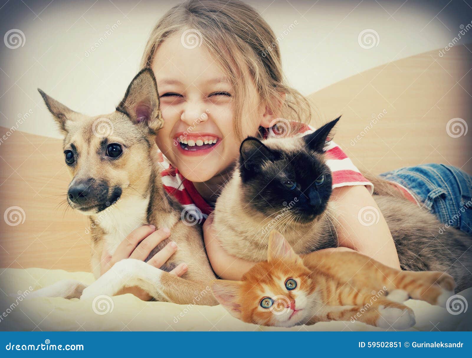 Laughing girl and pets stock image. Image of kitten, domestic - 59502851