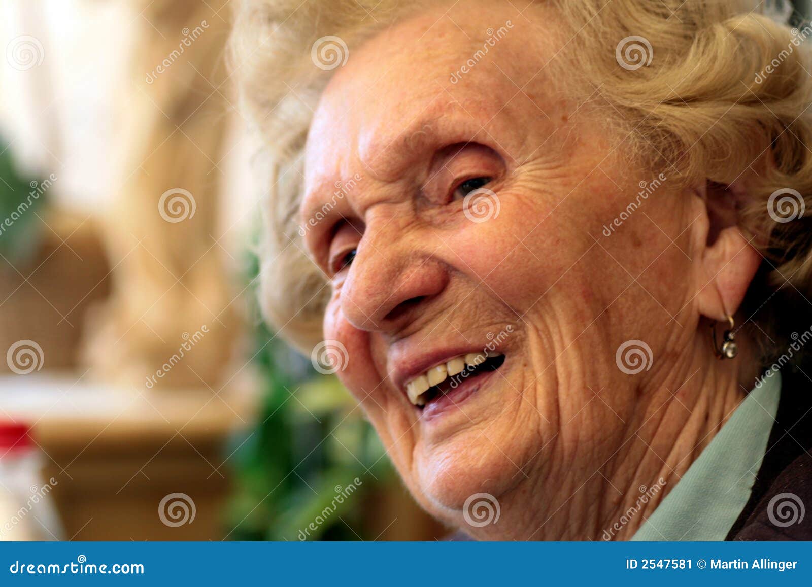 Laughing Grandmother stock image. Image of mature, people - 2547581