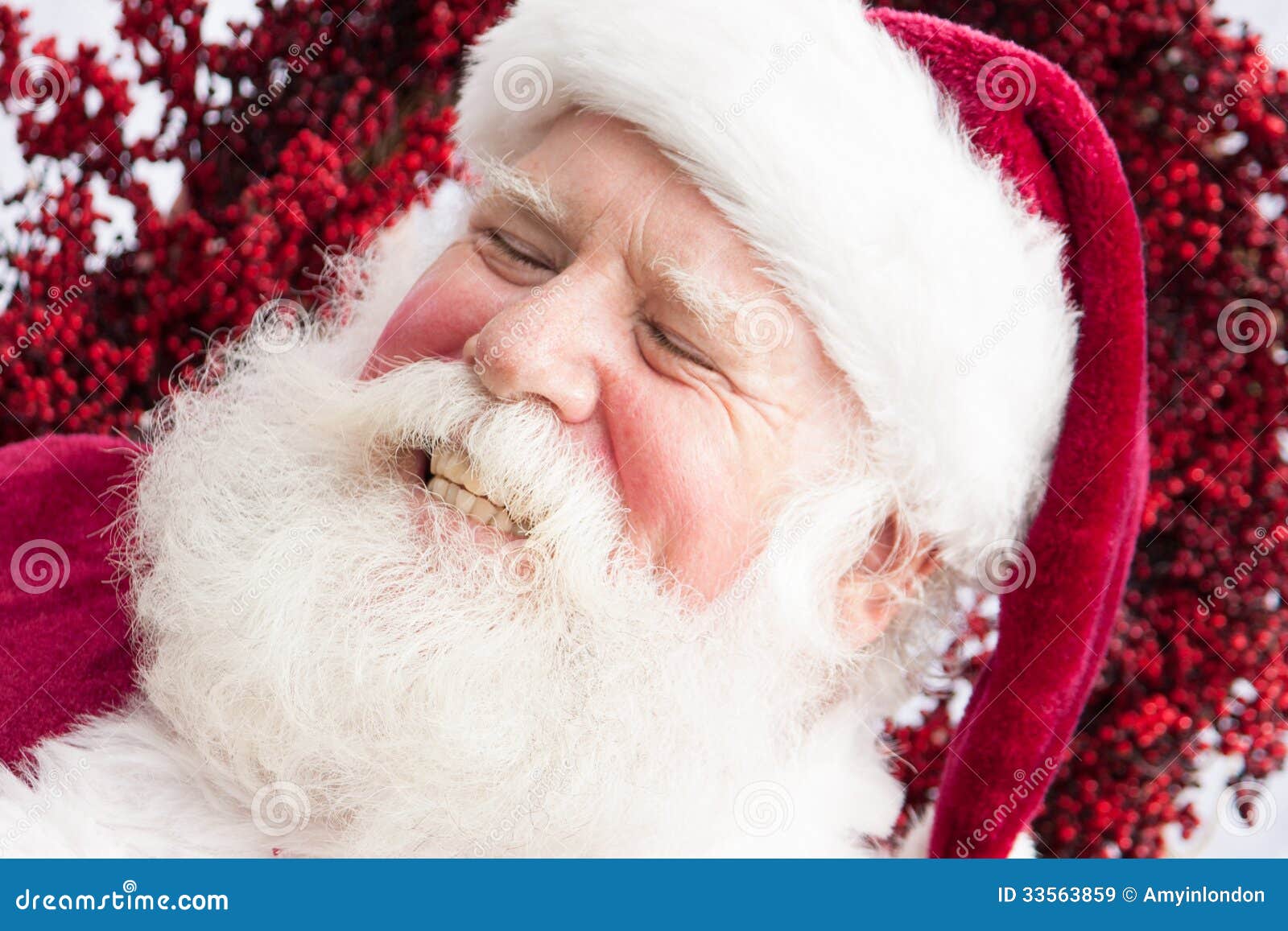 Laughing Santa stock image. Image of portrait, festive - 33563859
