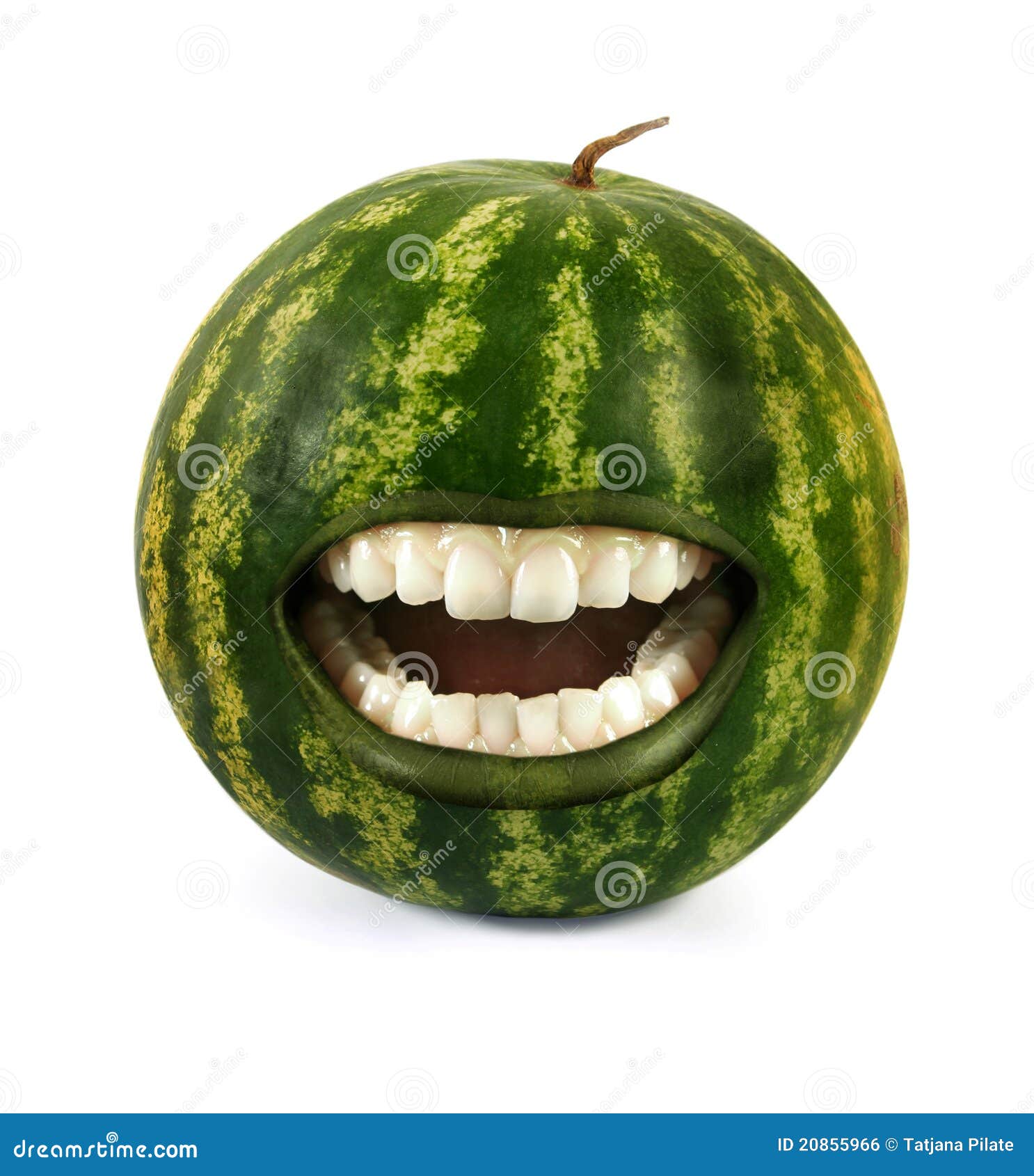 Laughing watermelon stock photo. Image of juicy, delight - 20855966