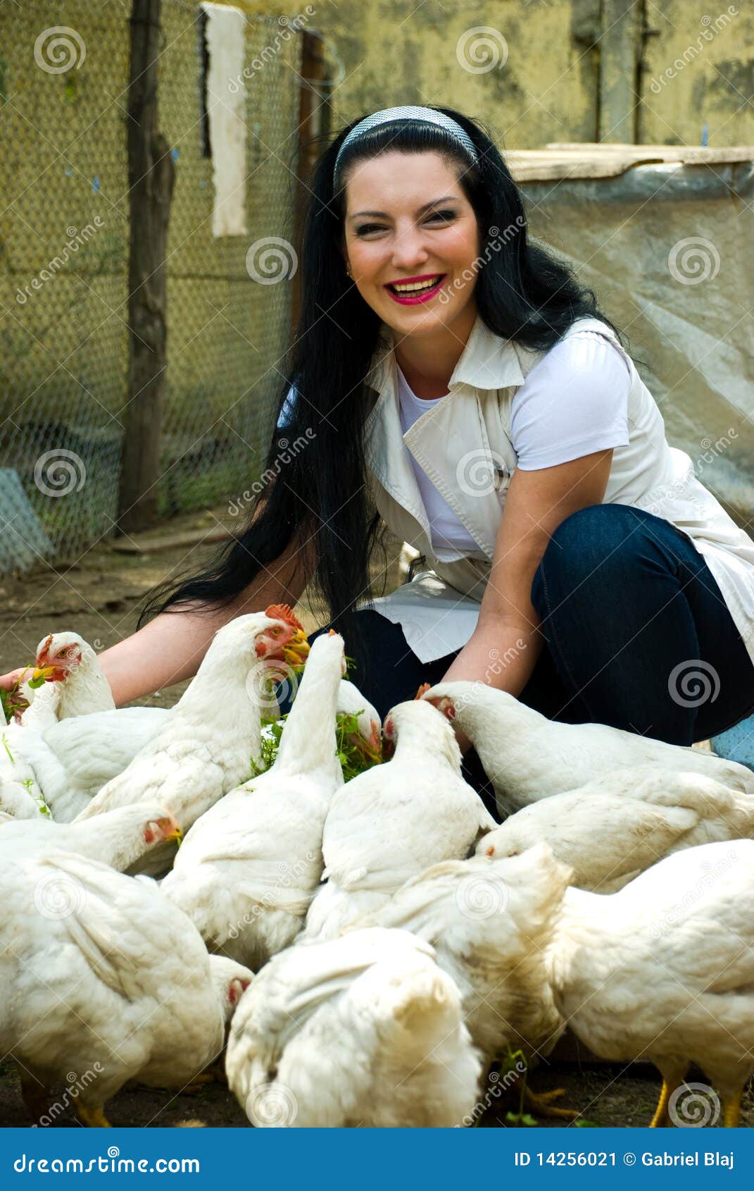 Laughing Woman Feeding Chicken Stock Image - Image of domestic, grass ...