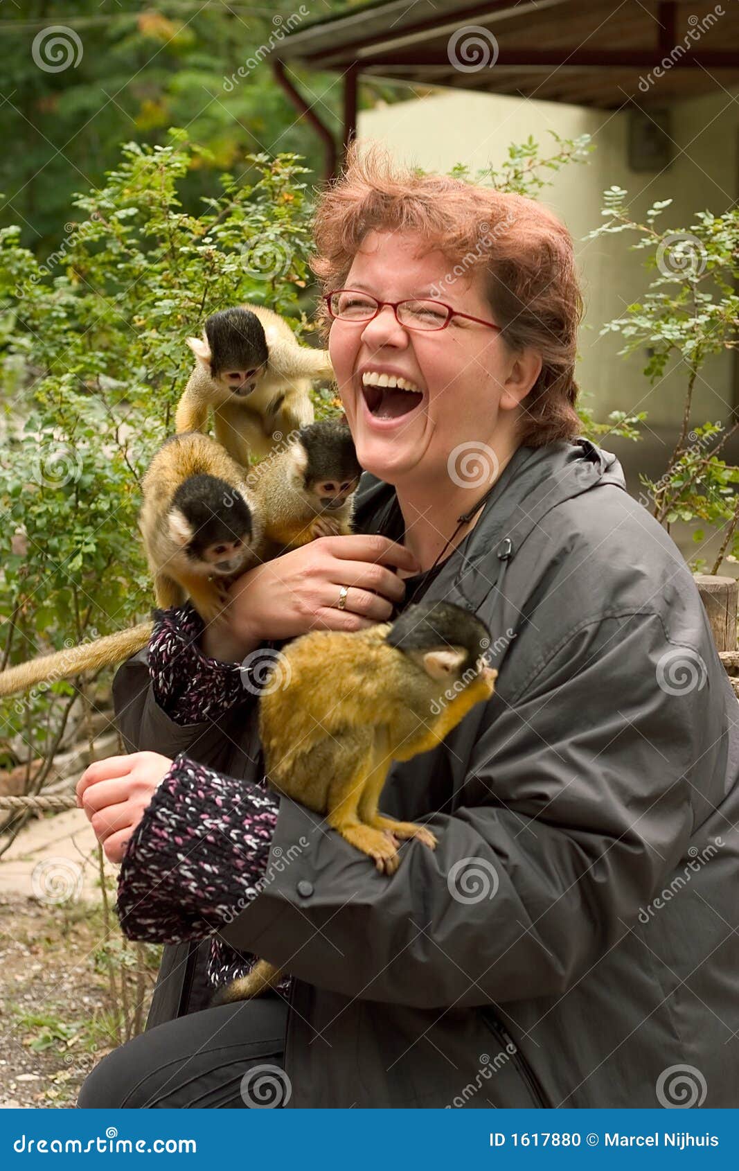 Laughter stock photo. Image of smiling, outdoors, animals - 1617880