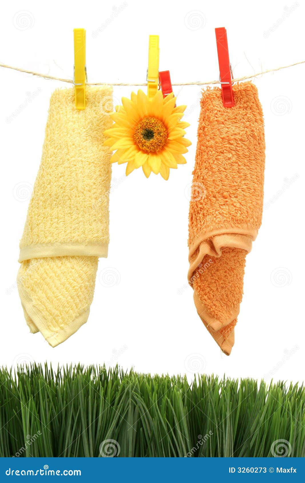 Laundry day stock image. Image of isolated, daisy, grass - 3260273