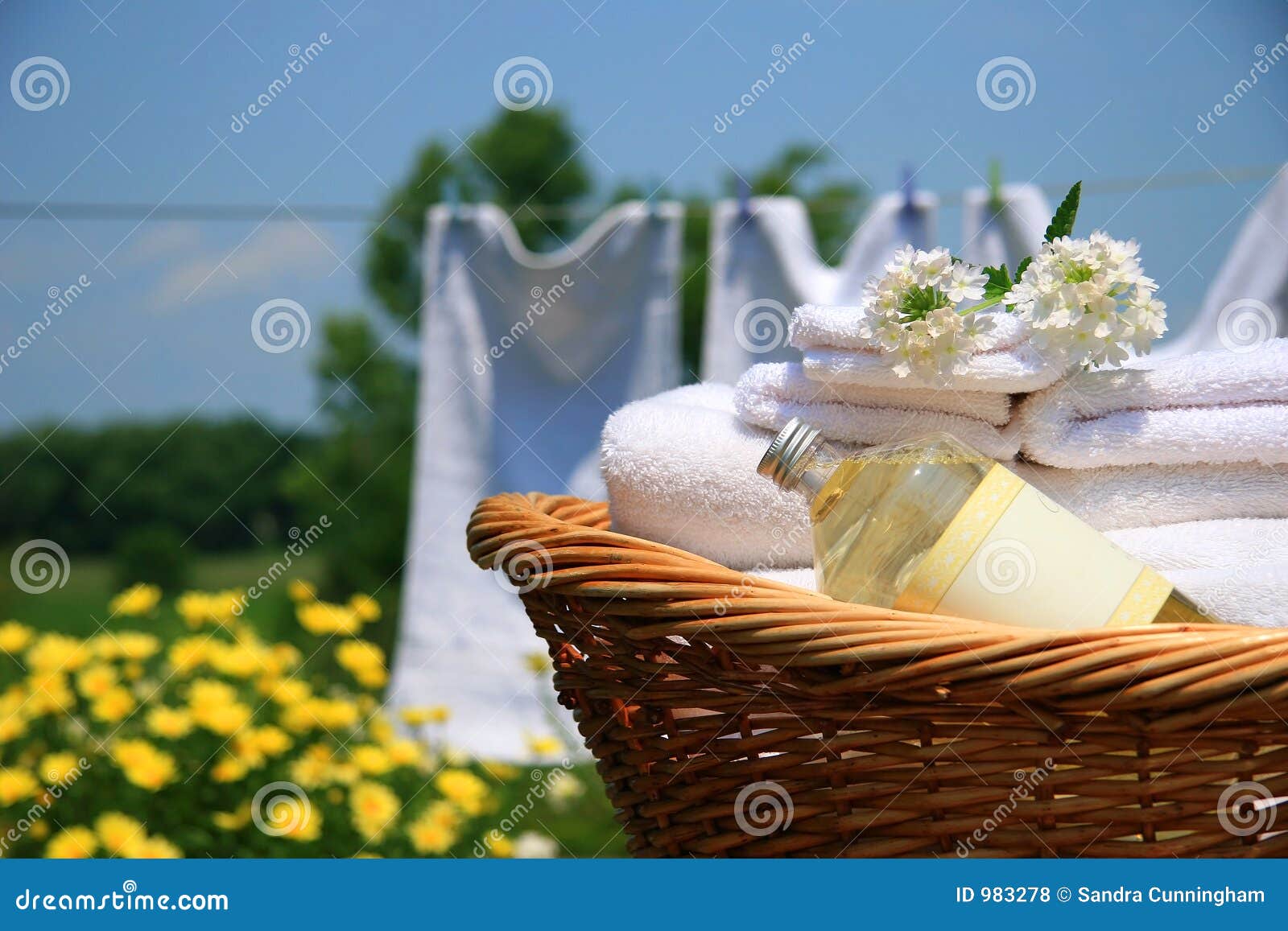 Laundry day stock photo. Image of pegs, wash, wicker, cord - 983278