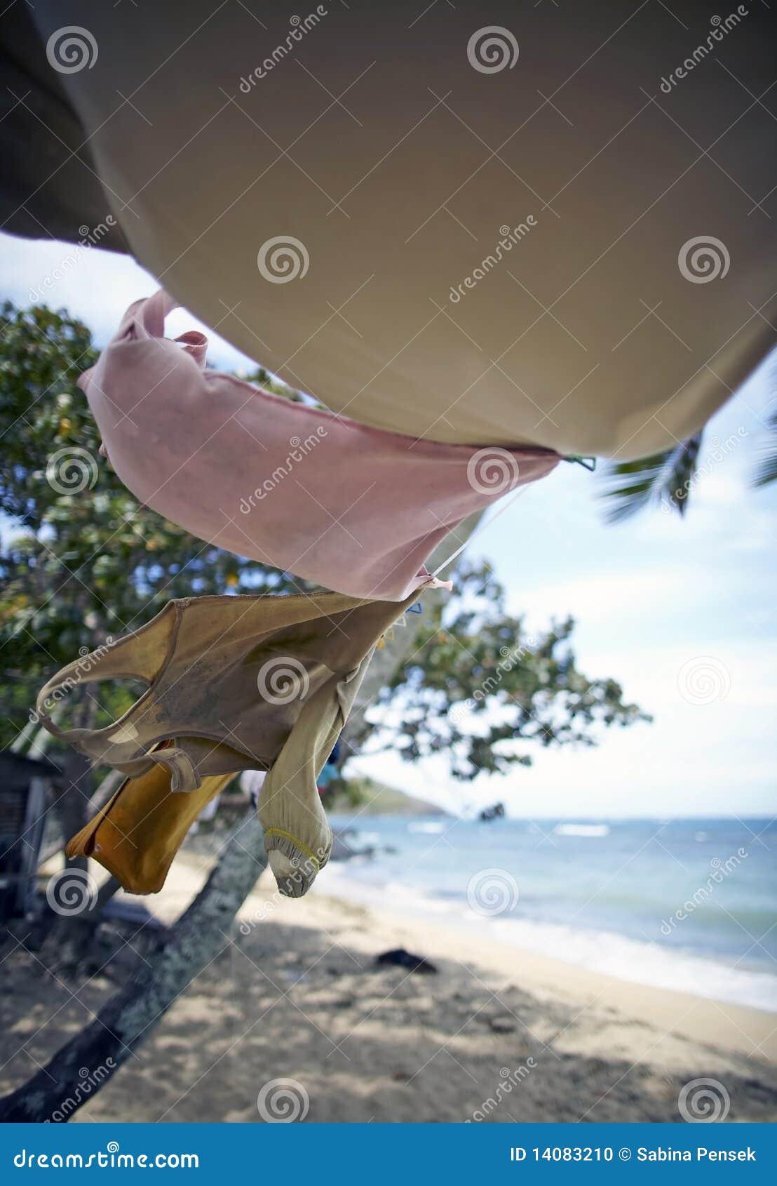 Laundry Drying on the Line on the Beach Stock Photo - Image of wash ...