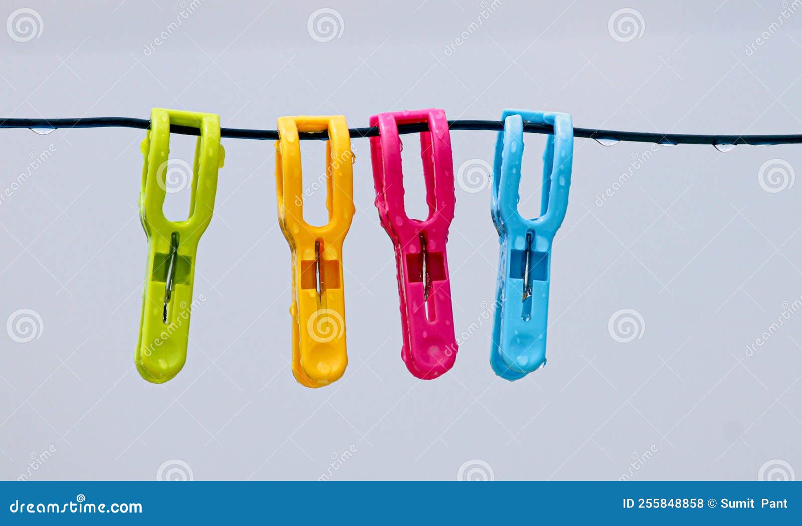 Laundry Pins stock photo. Image of clothes, line, colourful - 255848858