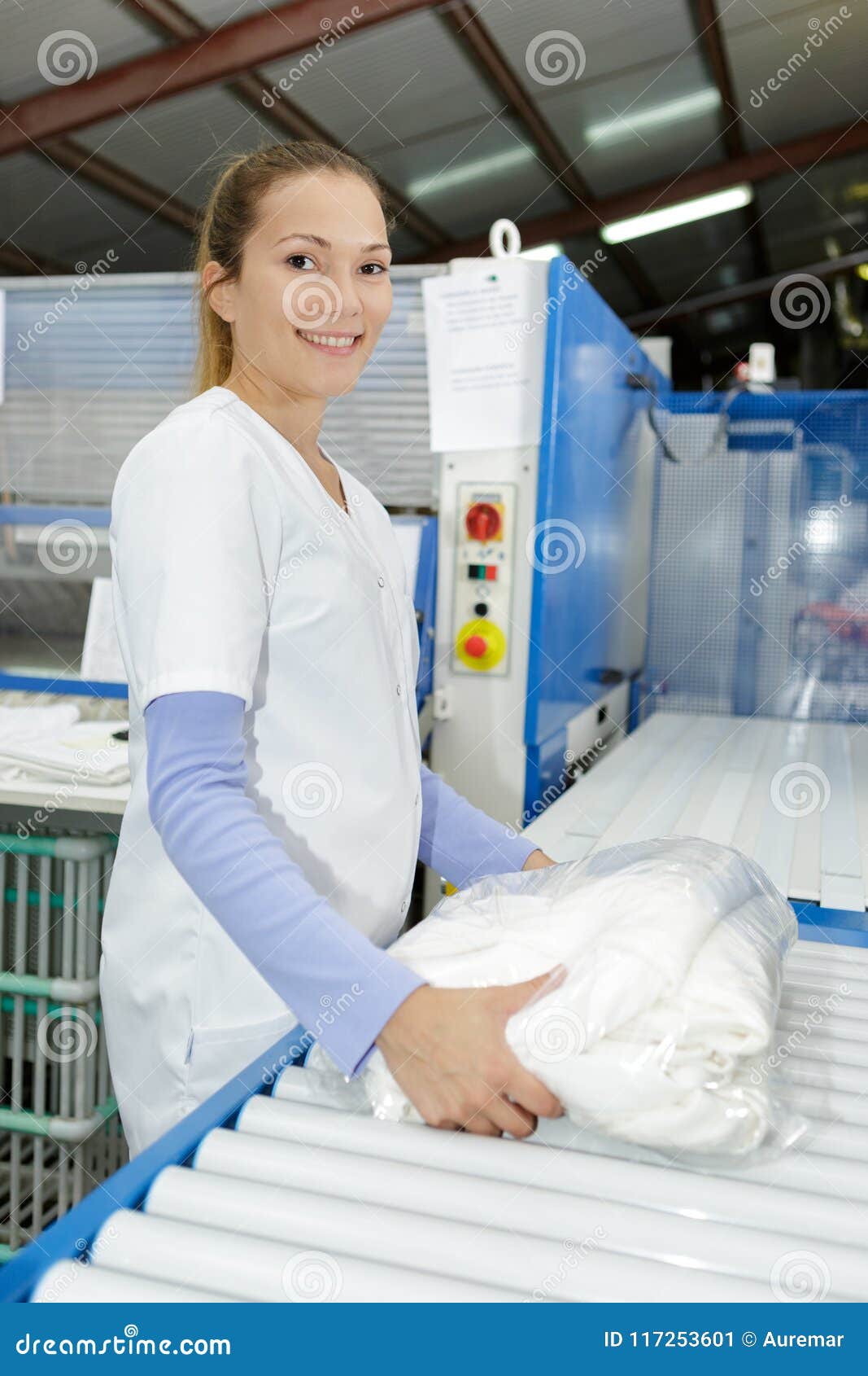 Laundry Worker Puts Ironed Textile in Ironing Machine Stock Image ...