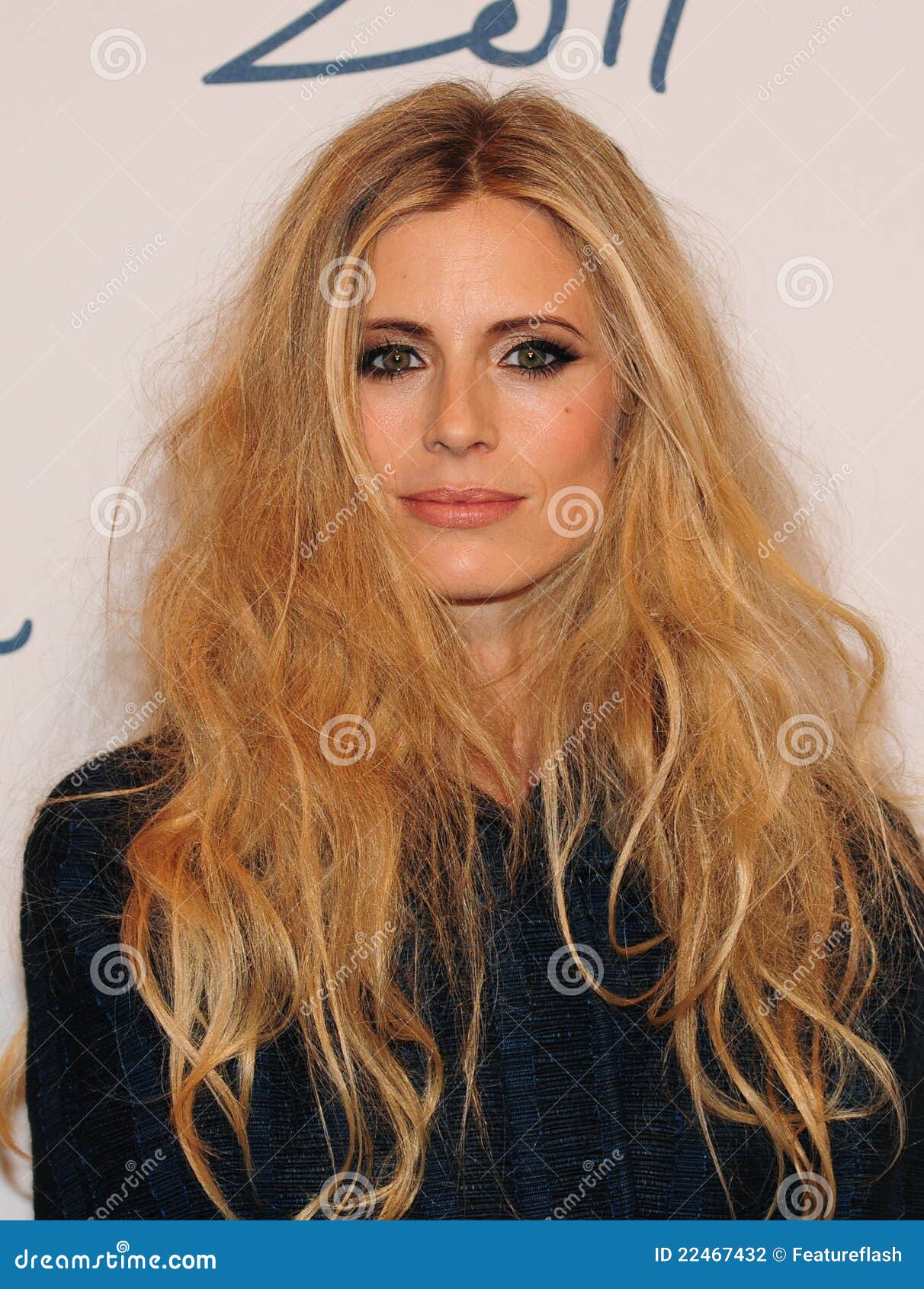 Laura Bailey photographie éditorial. Image du mode, récompenses - 22467432