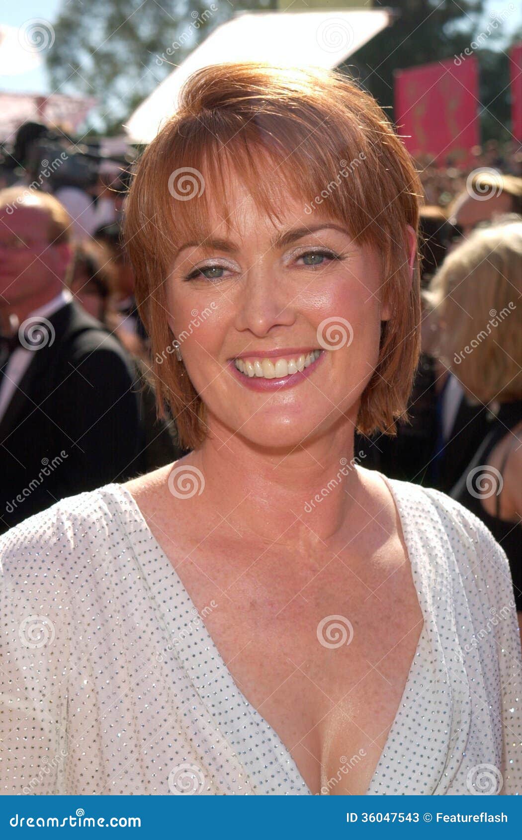 Laura Innes foto de archivo editorial. Imagen de actriz - 36047543