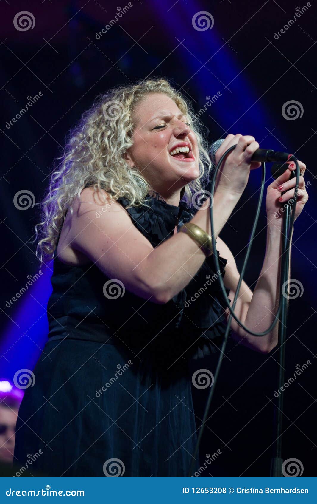 Laura Vane editorial stock photo. Image of concert, womad - 12653208