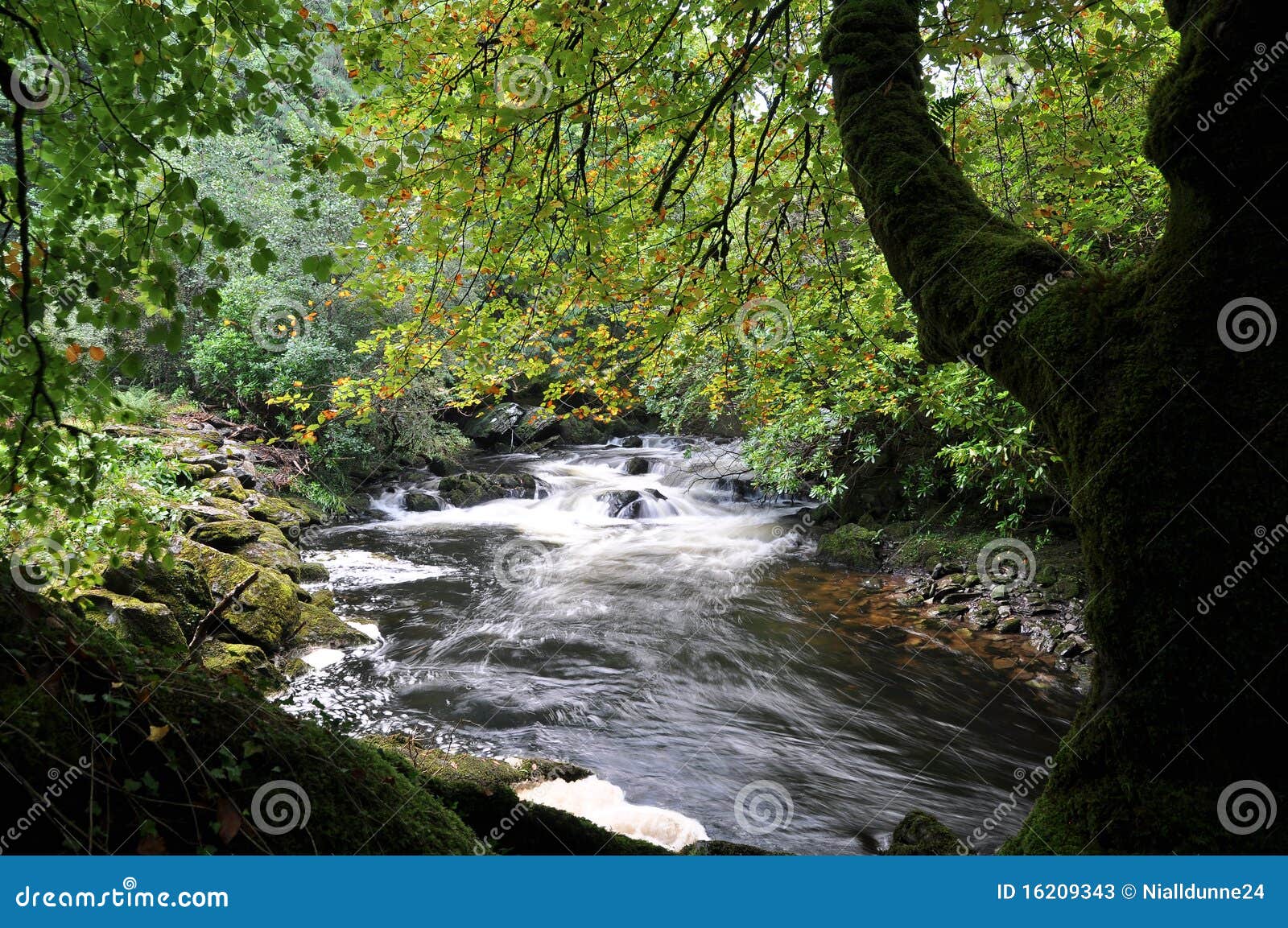189 Irish Moors Stock Photos - Free & Royalty-Free Stock Photos from ...