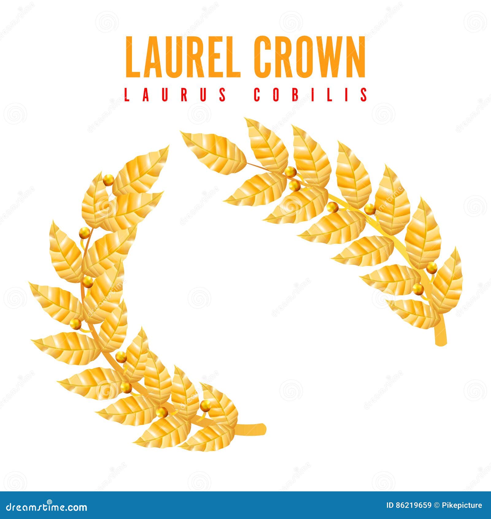 Laurel Crown Griekse Kroon Met Gouden Bladeren Vector Illustratie ... Laurel Crown Griekse Kroon Met Gouden Bladeren Vector Illustratie ...