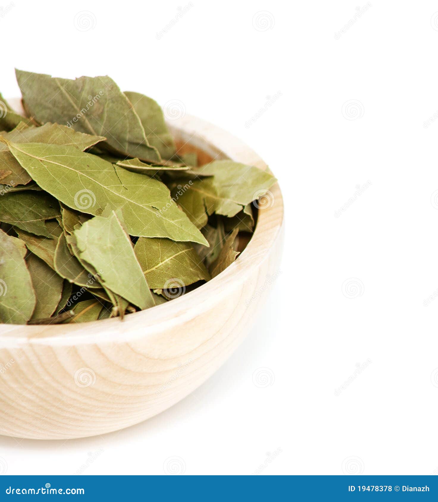 Laurel leafs stock photo. Image of closeup, close, spice - 19478378