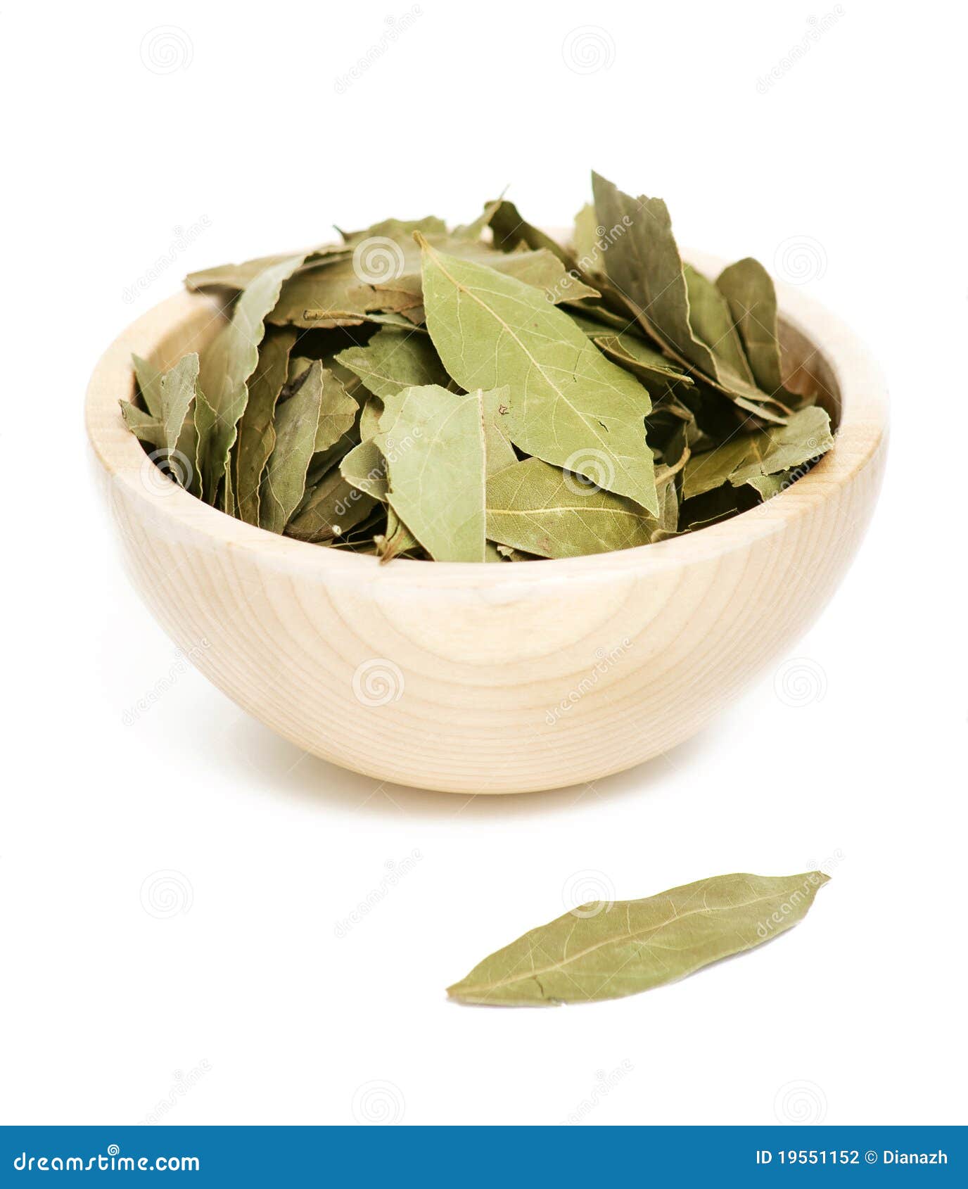 Laurel leafs stock photo. Image of isolated, wooden, leaves - 19551152