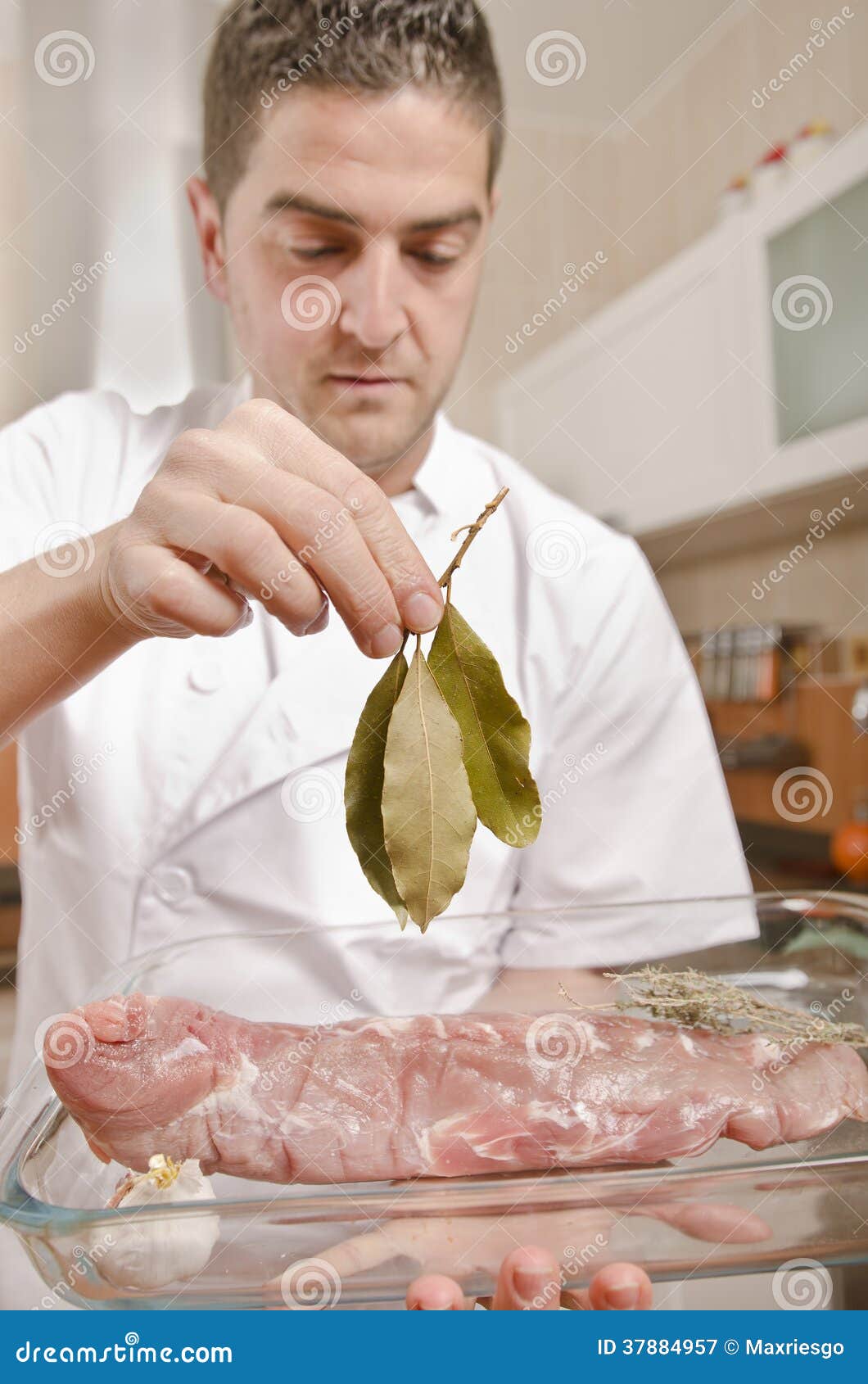 Laurel leafs stock image. Image of cook, eating, kitchen - 37884957