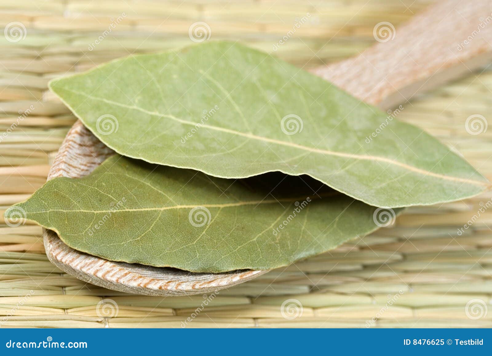 Laurel Leaves Royalty-Free Stock Photography | CartoonDealer.com #16709765