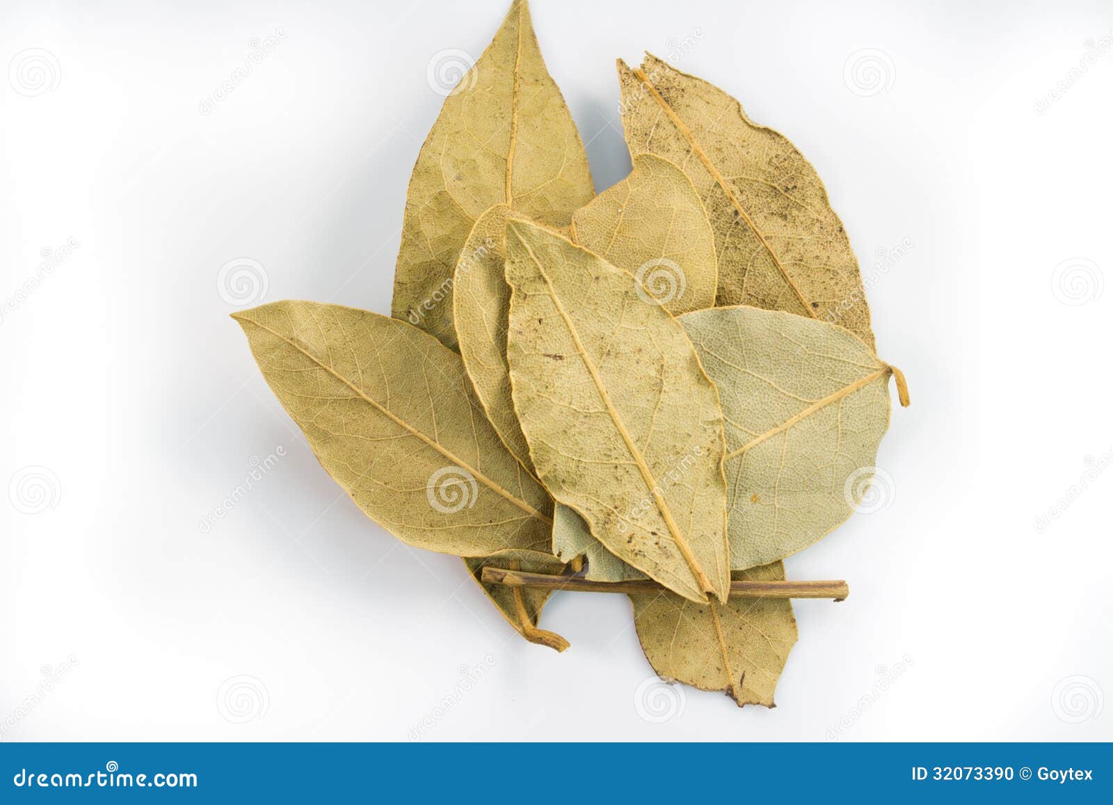 Laurel leaves stock photo. Image of spices, organic, herbal - 32073390