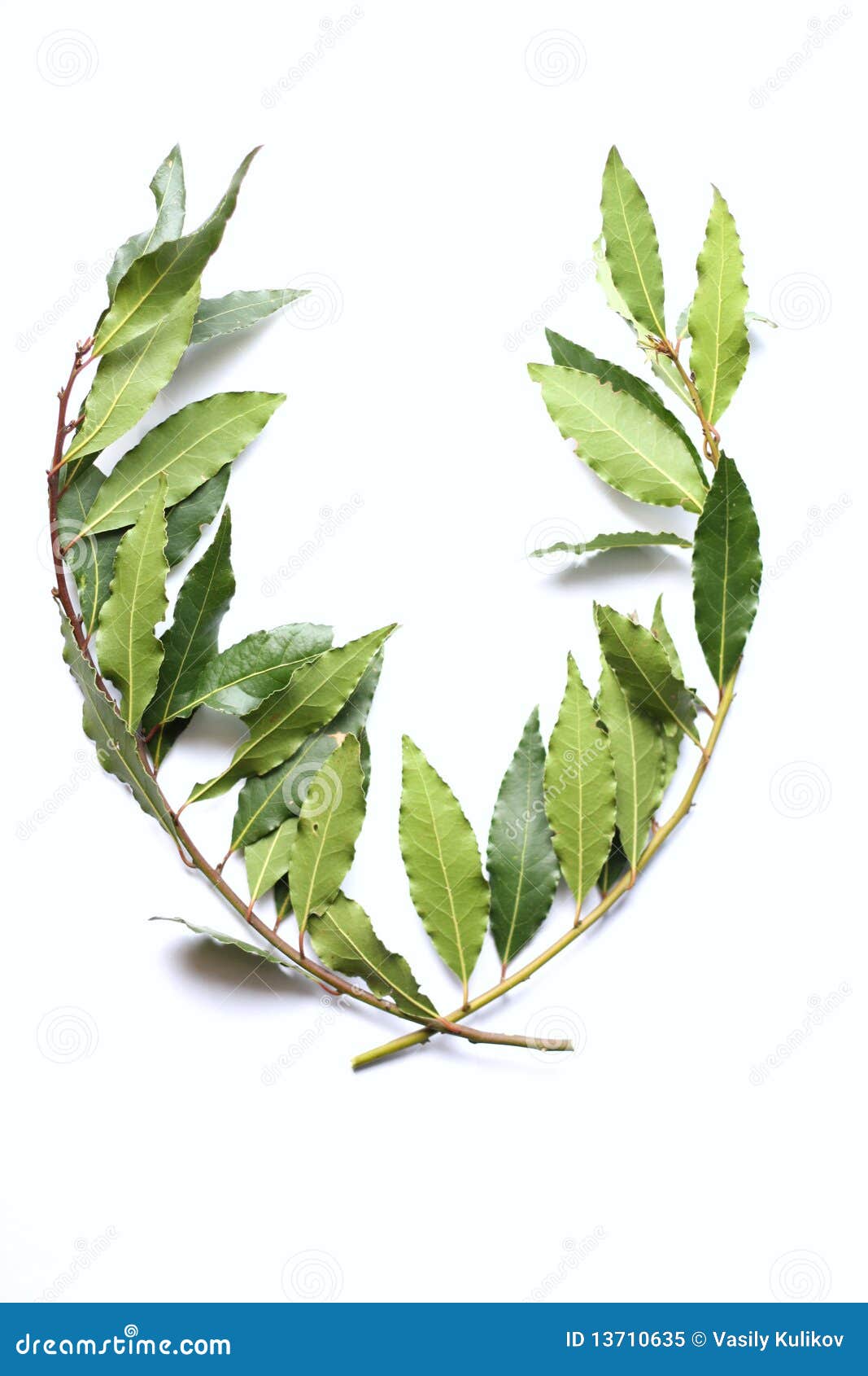 Laurel wreath stock image. Image of foliage, branch, green - 13710635