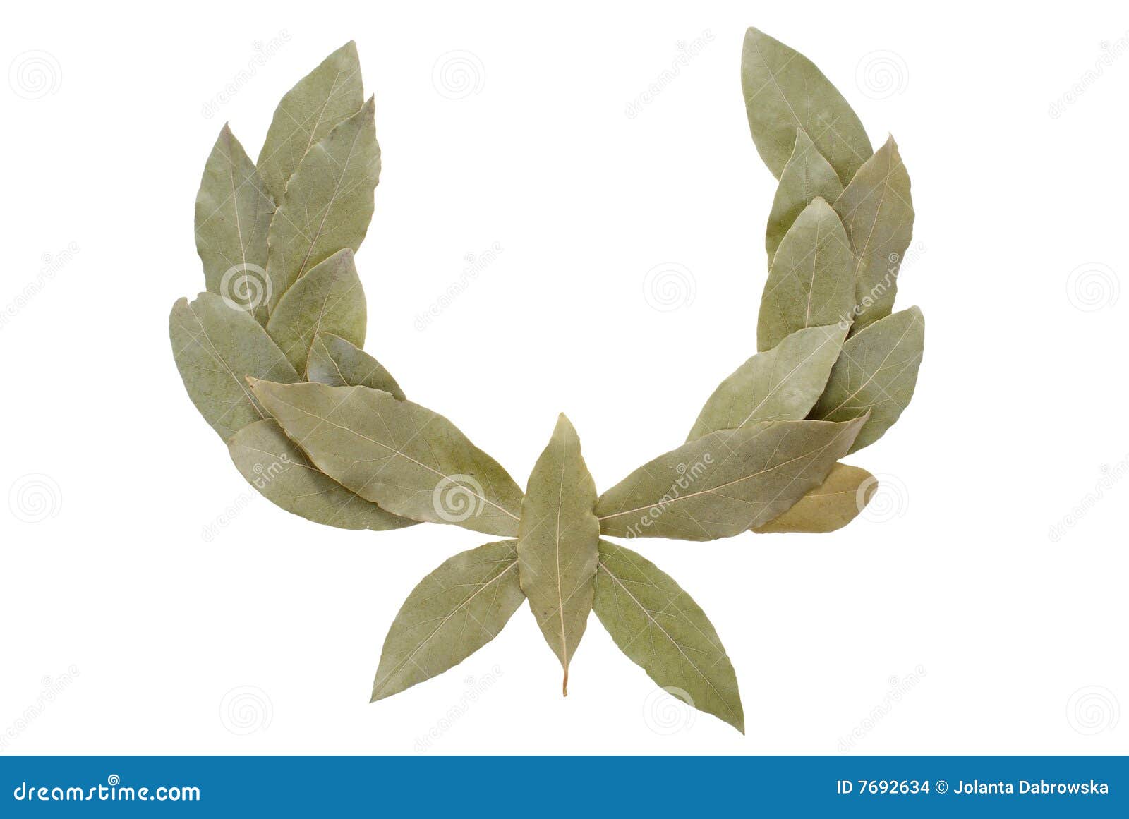 Laurel wreath stock photo. Image of brown, healthy, texture - 7692634