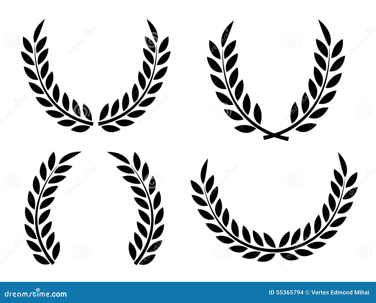 Laurel Wreaths Vector stock vector. Illustration of frame - 55365794