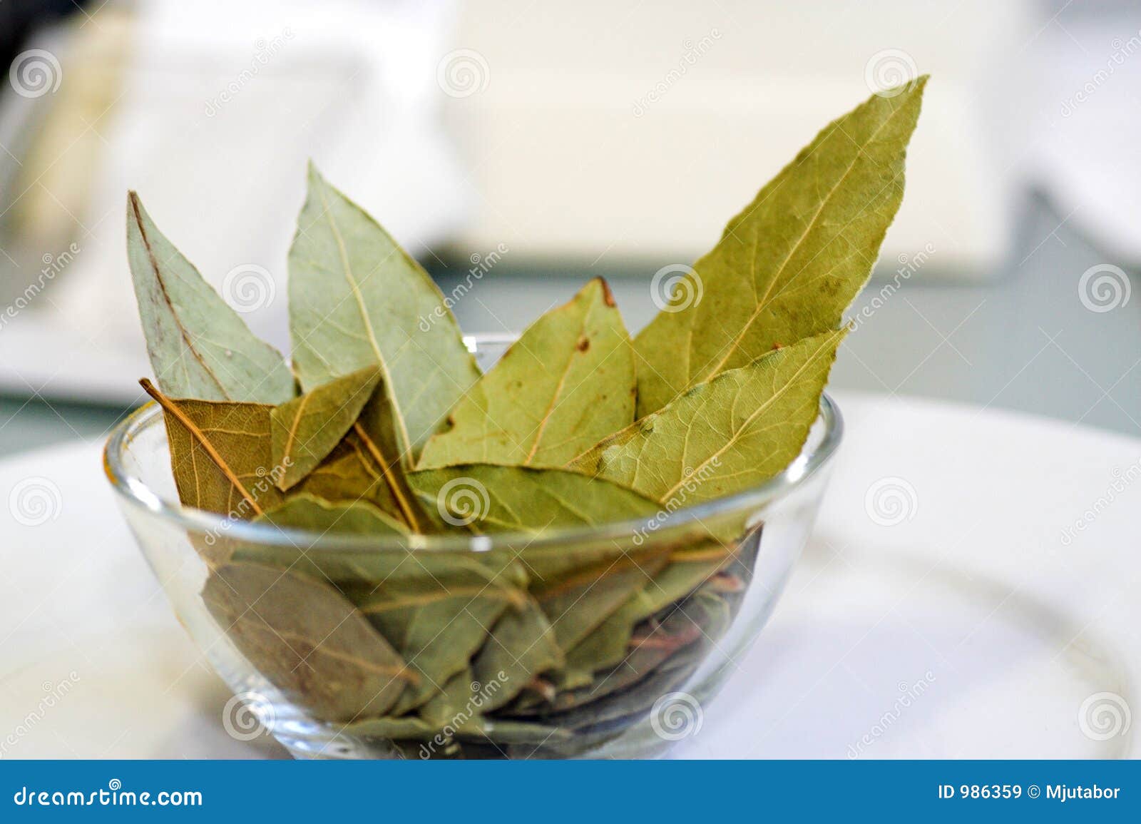 Laurier image stock. Image du ingrédients, lame, laurier - 986359