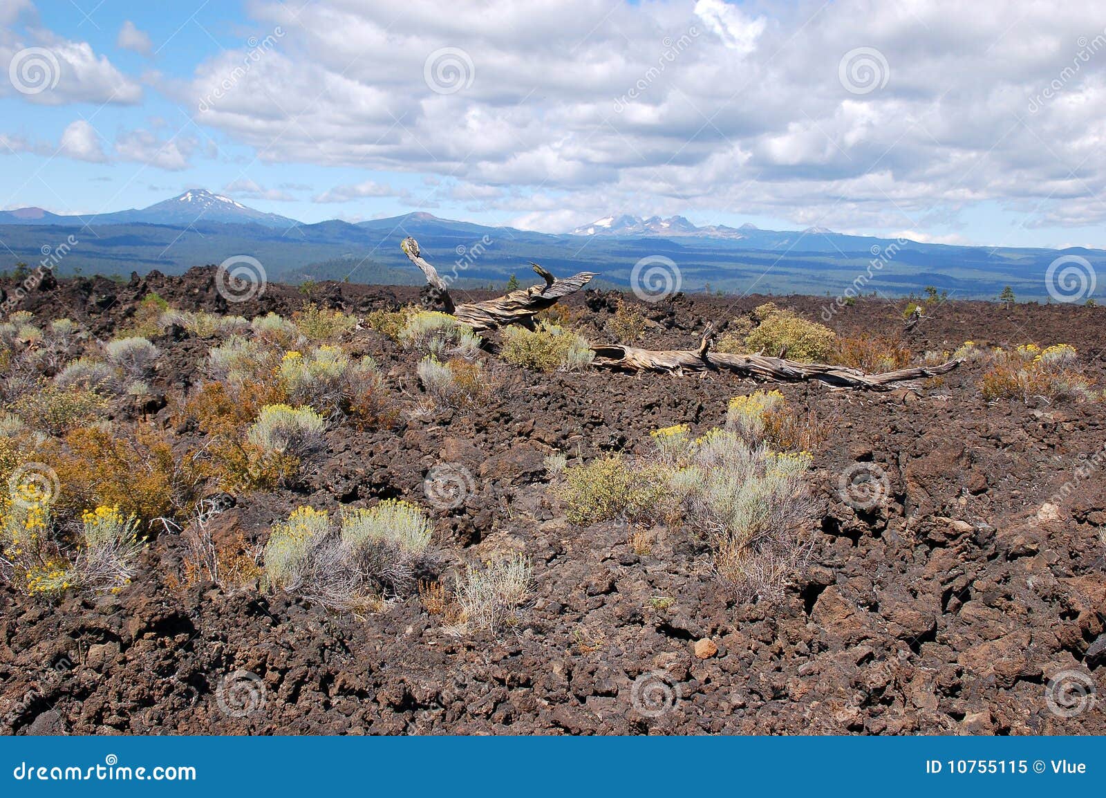 Lava bed stock image. Image of horizontal, lava, rocks - 10755115